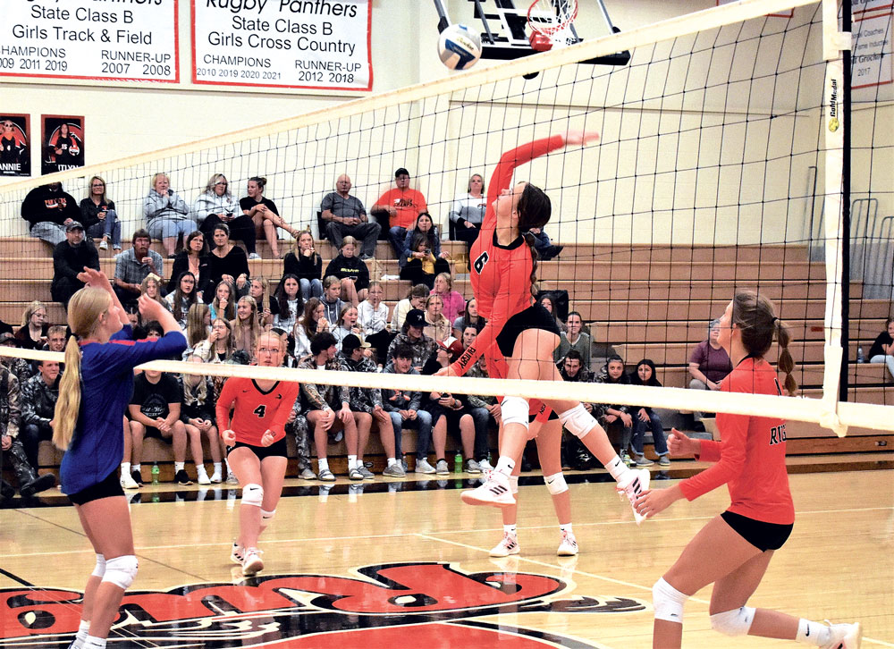 Panthers volleyball leads District 11 after win against Eagles | News ...